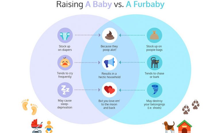 Diagrams: The Foundation of Visual Illustration - My Chart Guide