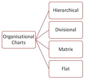 Organizational Charts: The best way to design your structure - My Chart ...