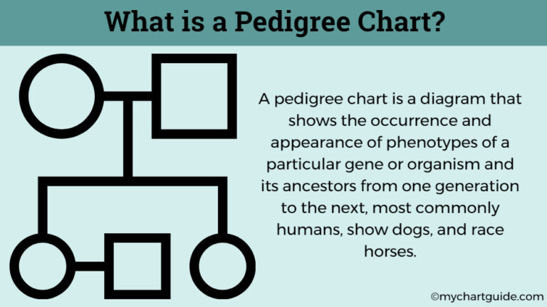 Pedigree Chart - My Chart Guide